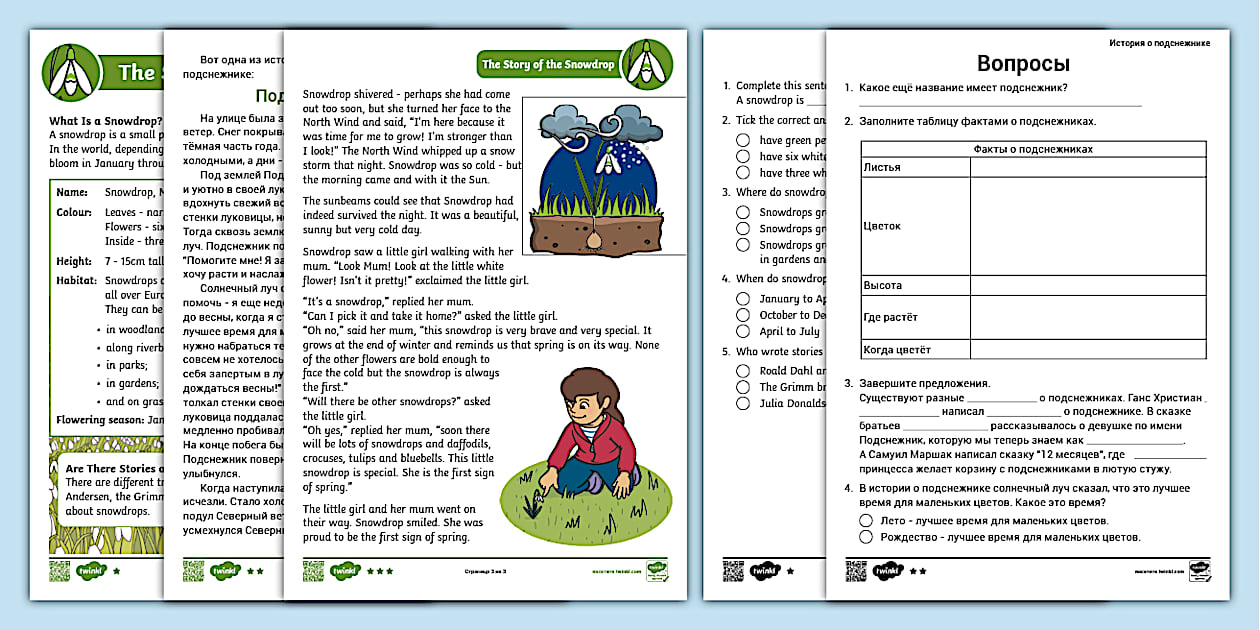 The Story of the Snowdrop Comprehension Activity with Russian Translation