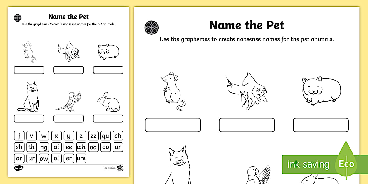 Middle East Phase 3 Phonics Name the Pet Worksheet - Twinkl