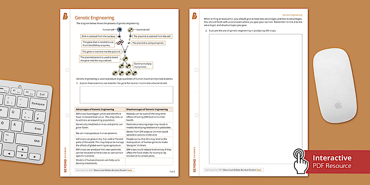 Genetic Engineering Worksheet - Interactive (teacher made)