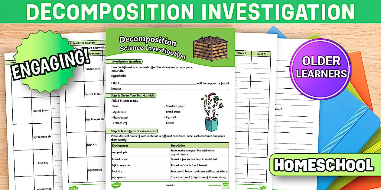 Homeschool Decomposition Science Investigation - Twinkl