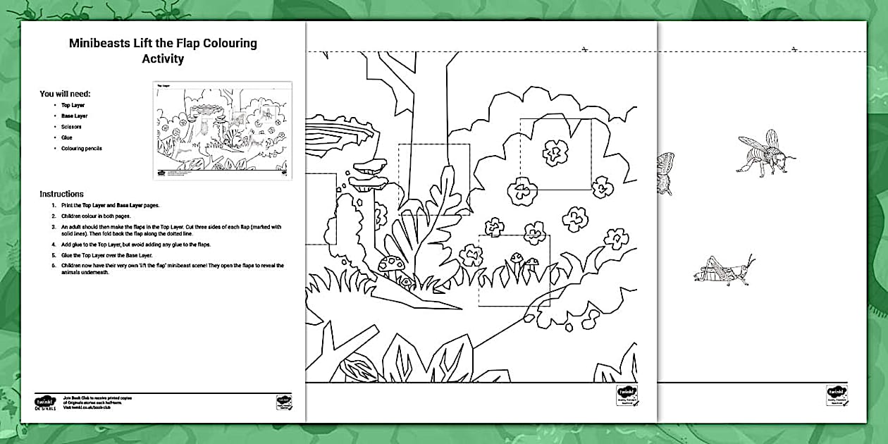Minibeasts Lift the Flap Colouring Activity