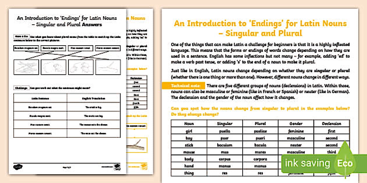 👉 An Introduction to 'Endings' for Latin Nouns - Singular and Plural