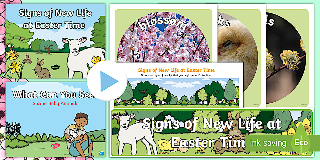 Signs of New Life at Easter Time Resource Pack - Twinkl