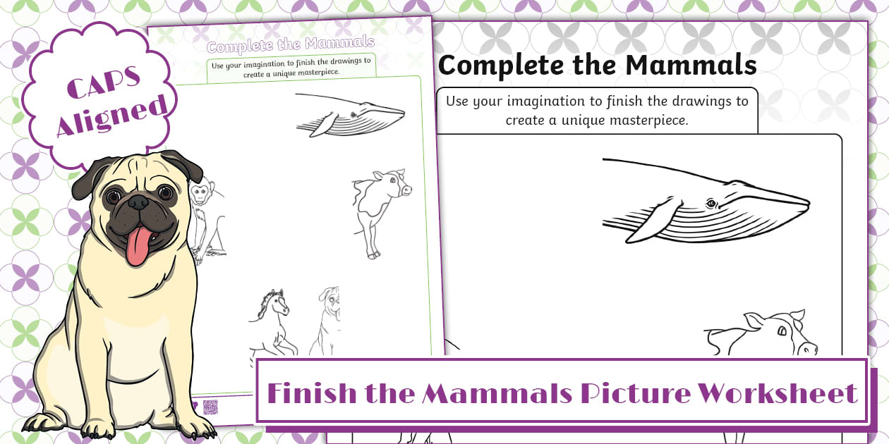 Foundation Phase - Finish the Mammals Picture Worksheet