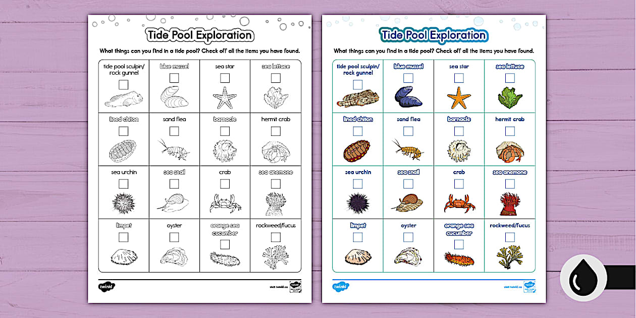 Tide Pool Exploration Checklist (teacher made) - Twinkl