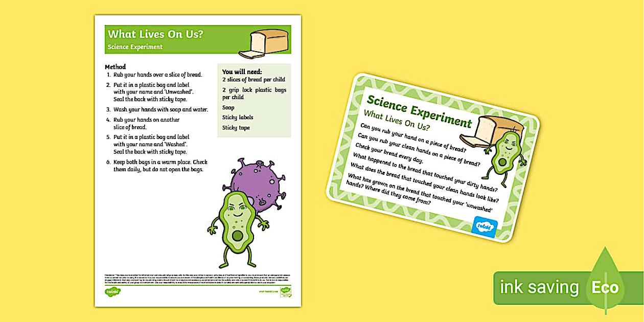 Mouldy Bread Science Experiment | Bacteria Bread Experiment