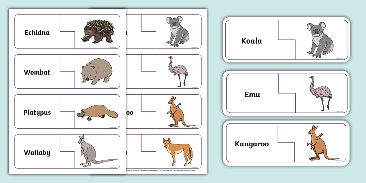 Australian Animals Matching Puzzle (Lehrer gemacht) - Twinkl