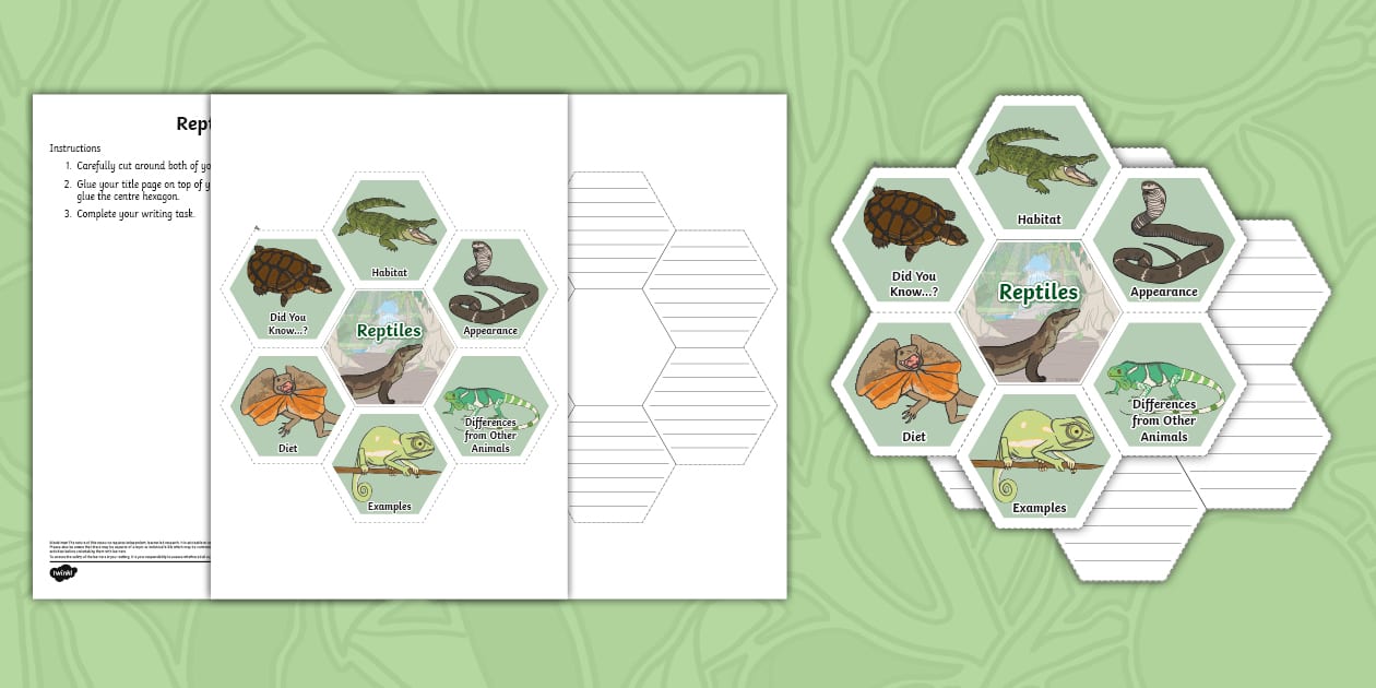 Reptiles Hexagon Writing Template (teacher made) - Twinkl