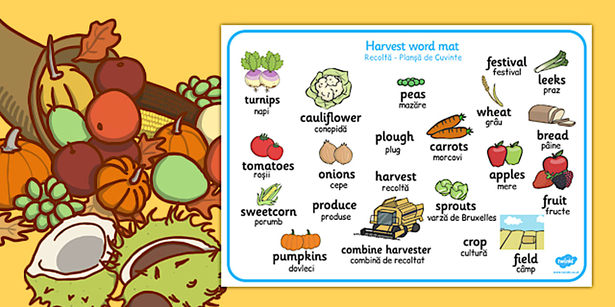 Harvest Word Mat Romanian Translation (teacher made)