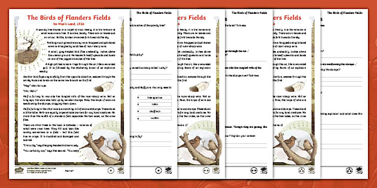 Cursive The Birds of Flanders Fields WW1 Fiction UKS2 Reading Comprehension
