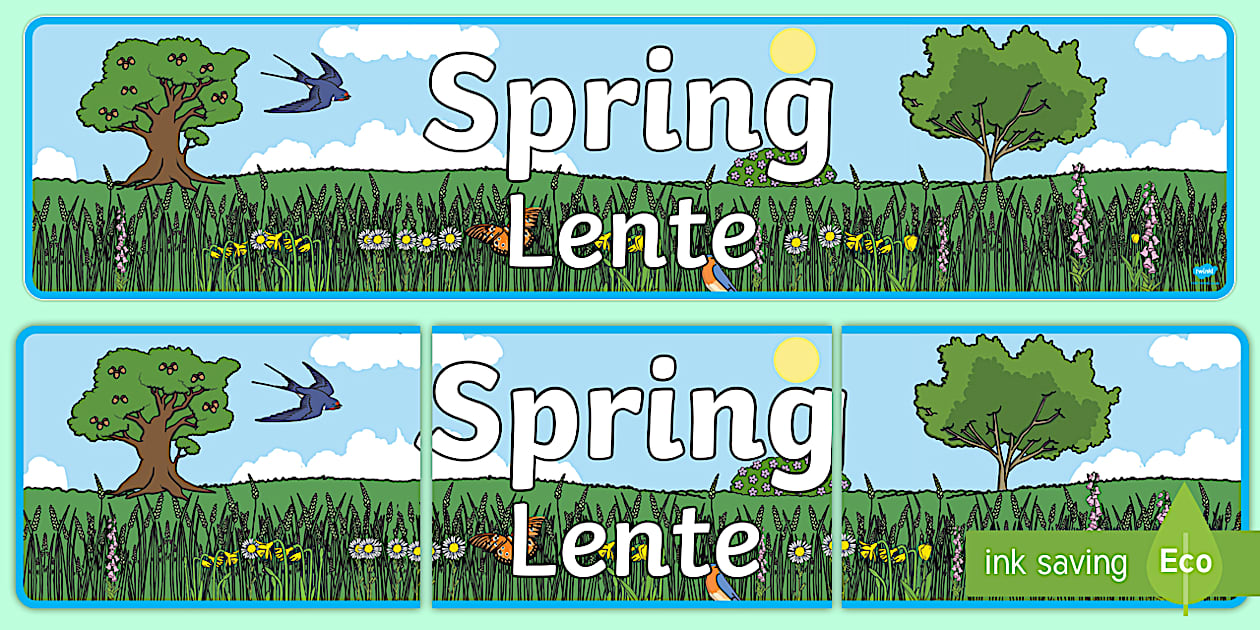 Spring Display Banner English/Afrikaans (teacher made)