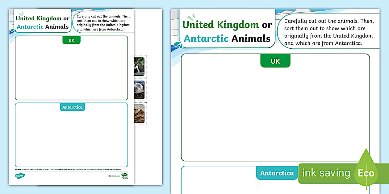 Animals in the UK or Antarctica Sorting Worksheet - Twinkl