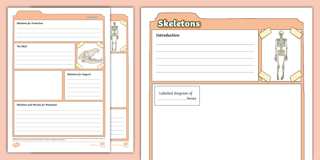 Skeleton Non-Chronological Report Template (teacher made)