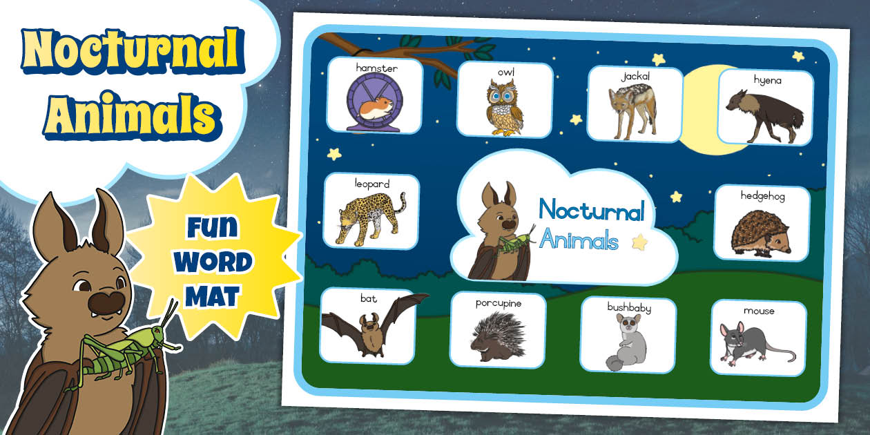 Grade 2 Life Skills Term 4 Life At Night - Word Mat