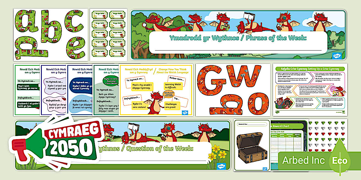 Cymraeg Campus: Pecyn Arddangos Siarter Iaith Display Pack