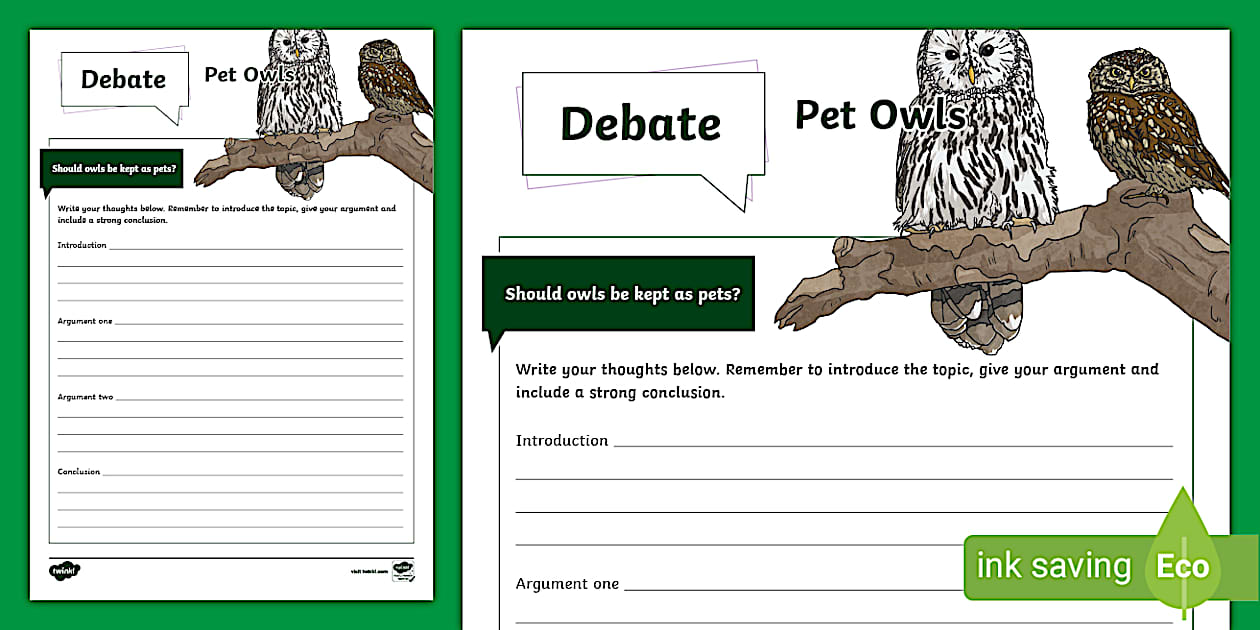 Pet Owls Debate Writing Frame (teacher made) - Twinkl