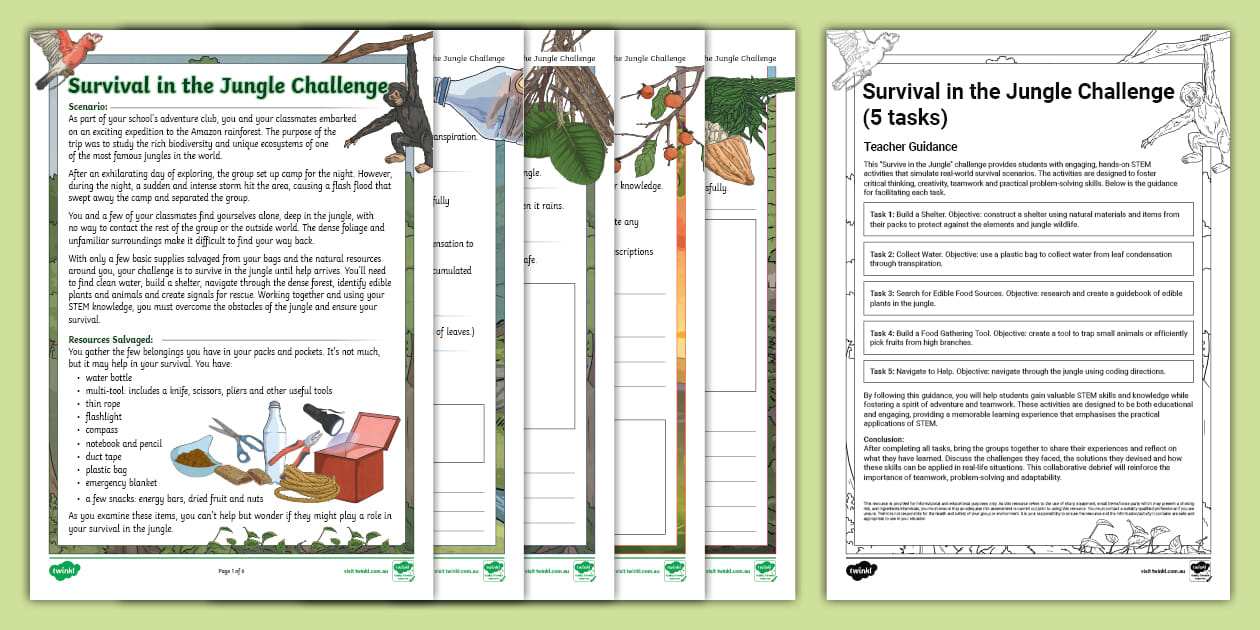 Survival in the Jungle Challenge (5 STEM tasks) - Twinkl