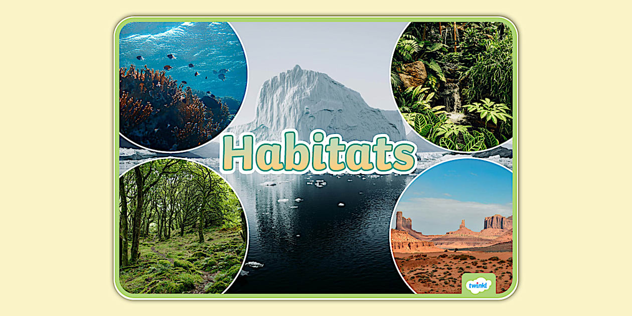 Habitats Photo Display Poster (teacher made) - Twinkl