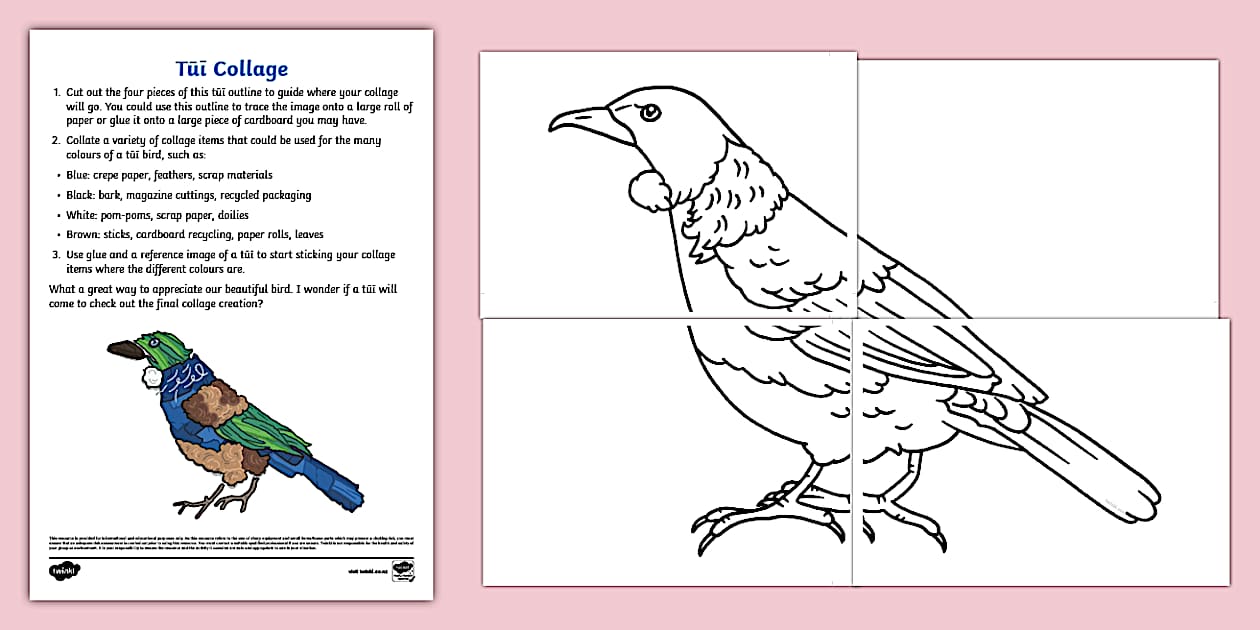 Large Tūī Collage- Group Art Activity (teacher made)