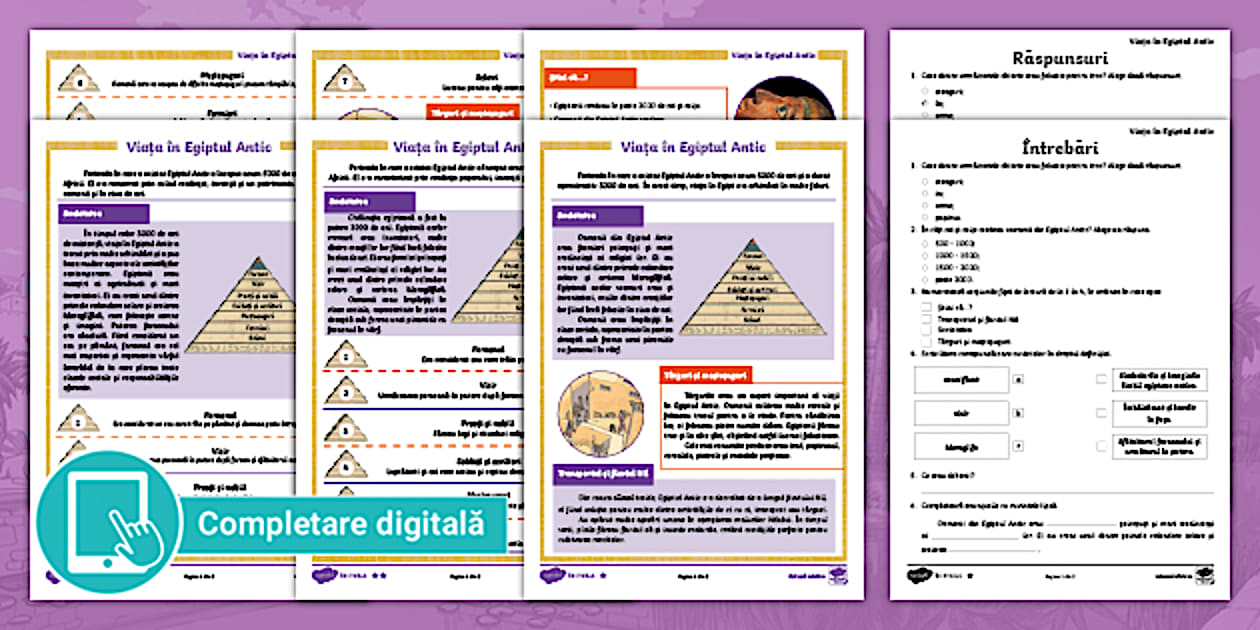 Egiptul Antic Fișe de lectură diferențiată - Twinkl