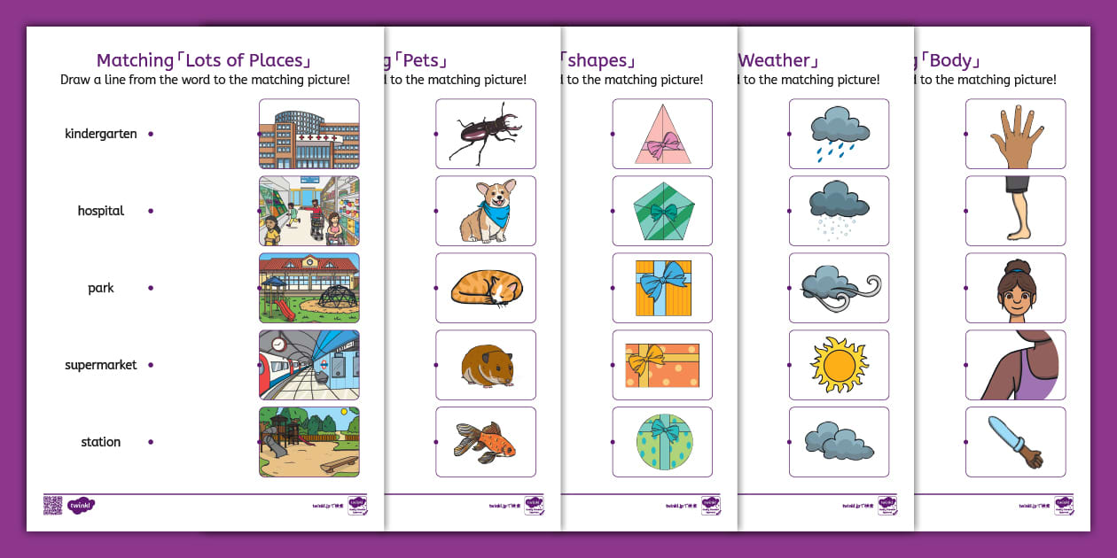 Matching Words and Picture Worksheet Set- English - Twinkl