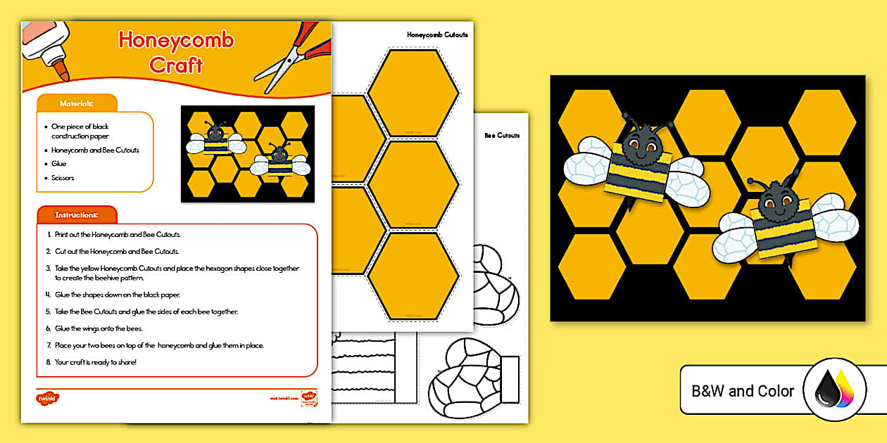 Honeycomb Craft | World Bee Day | Twinkl USA (teacher made)