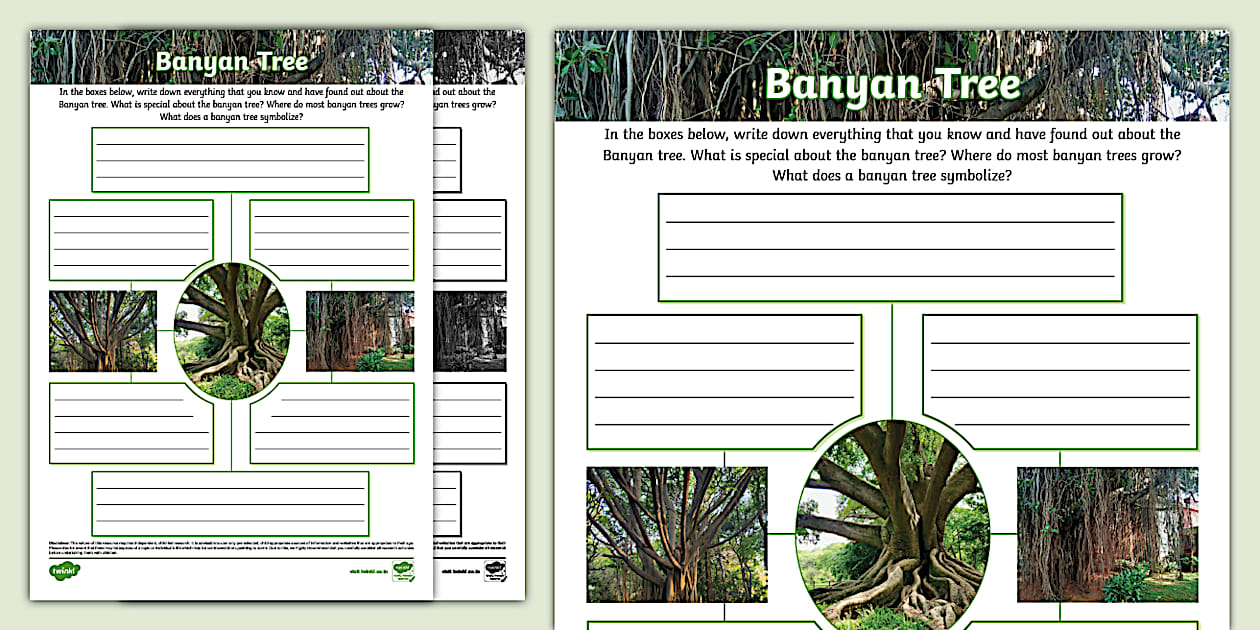 Banyan Tree Mind Map (teacher made) - Twinkl