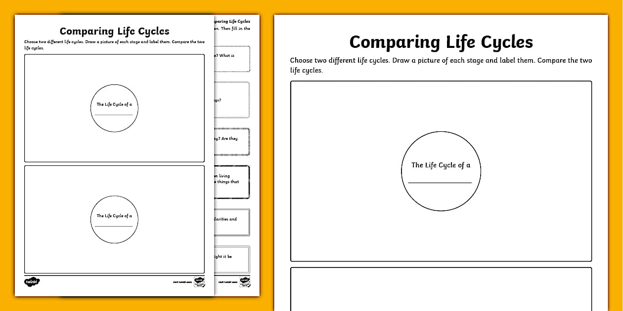 Comparing Life Cycles KS2 Worksheet