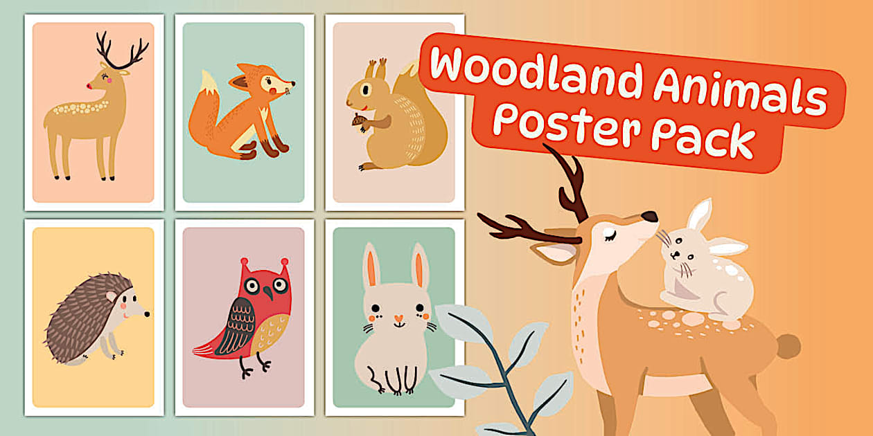 Woodland Animals Poster Pack | Twinkl Art Gallery