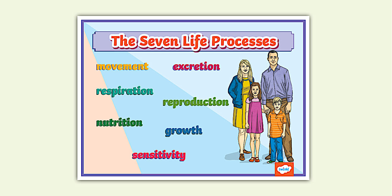 The Seven Life Processes Display Poster (teacher made)