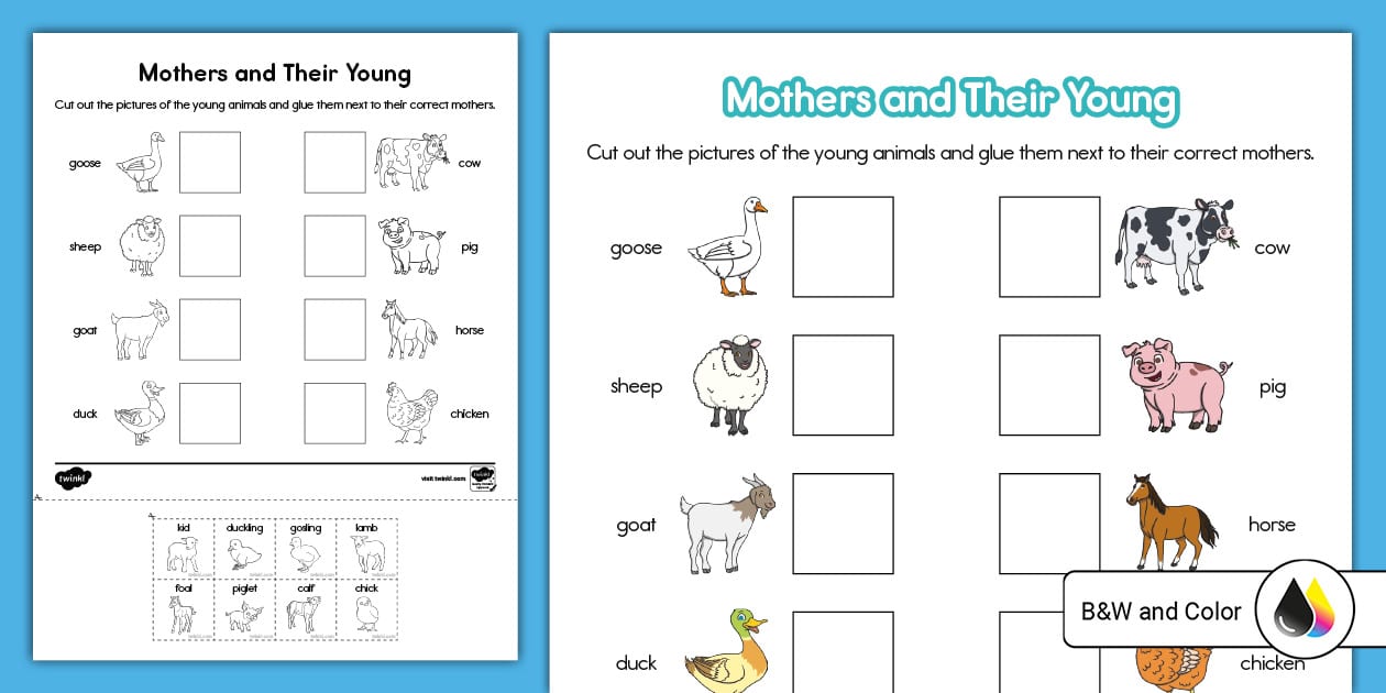 Mothers and Their Young Animal Matching Cut and Paste Worksheet