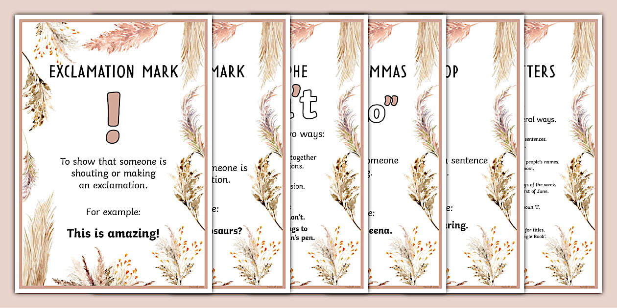 Boho-Themed Punctuation Display Posters (teacher made)