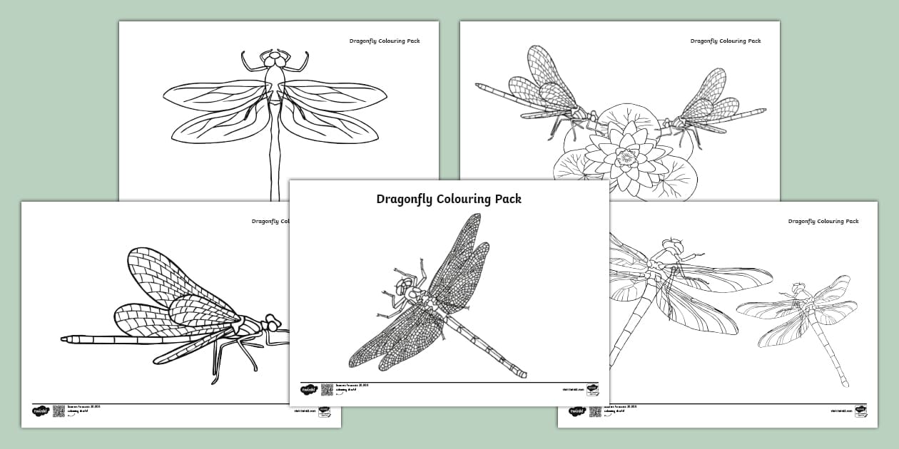 Dragonfly Template Colouring Pages (teacher made) - Twinkl