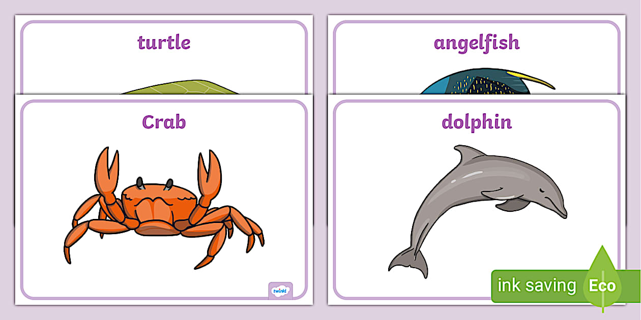 Story Sequencing to Support Teaching on Commotion In The Ocean