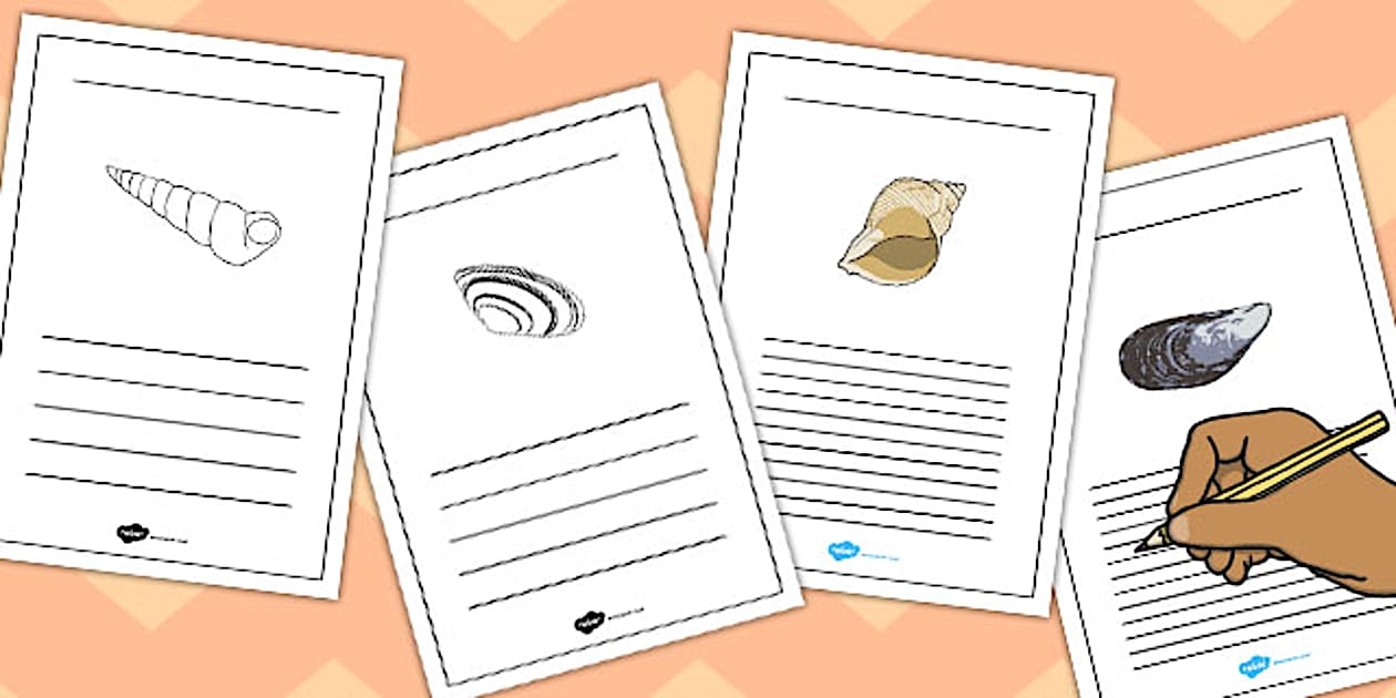 British Seashell Writing Frames (Teacher-Made) - Twinkl