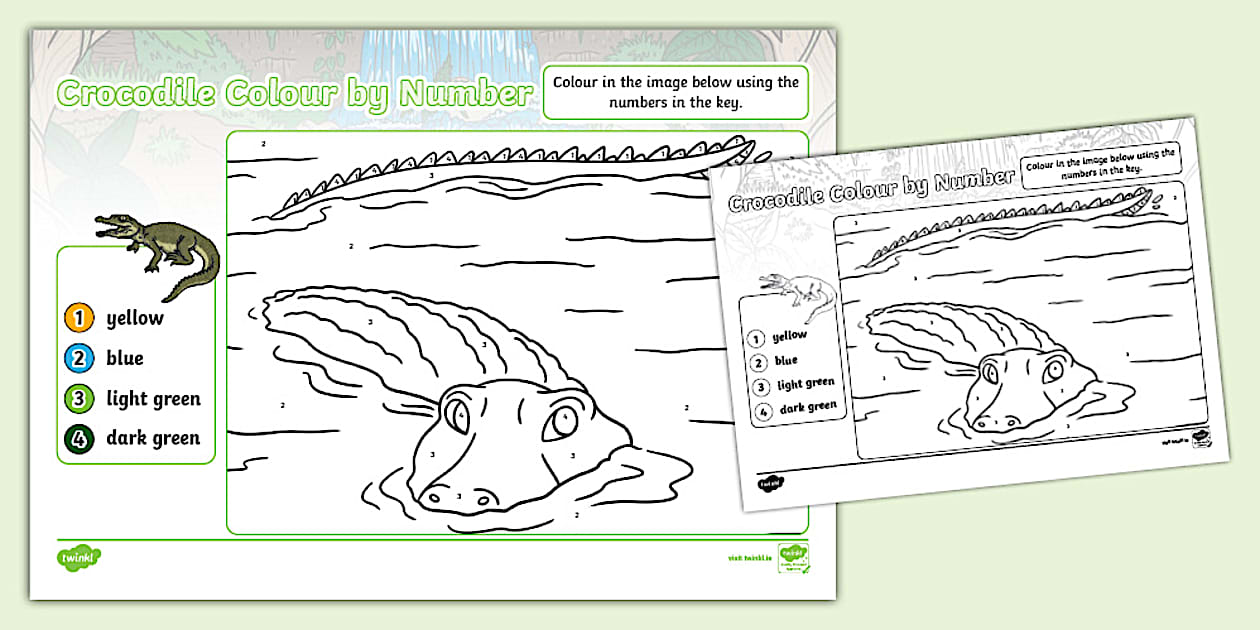 * NEW * Crocodile Colour by Numbers Worksheet (Teacher-Made)