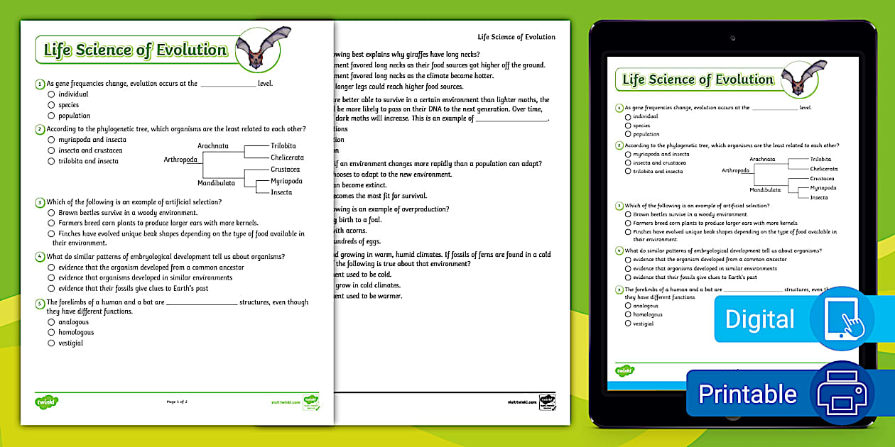 Sixth Grade NGSS Life Science of Evolution Quiz - Twinkl