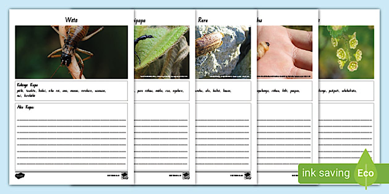 New Zealand Insects and Bugs Writing Prompts Photo Pack(Te Reo Maori)