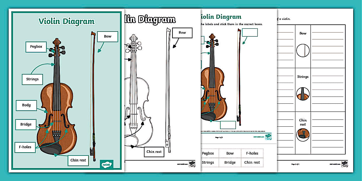 👉 Violin Diagram Pack (Teacher-Made) - Twinkl