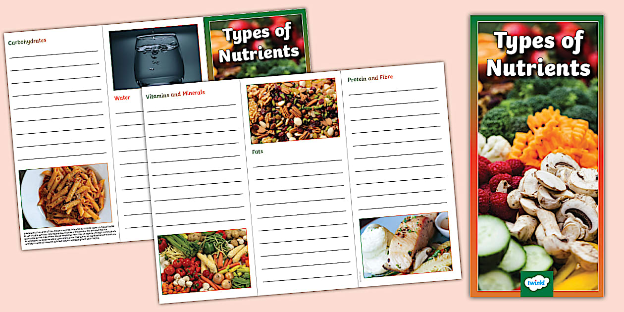 Types of Nutrients Leaflet Template (teacher made) - Twinkl