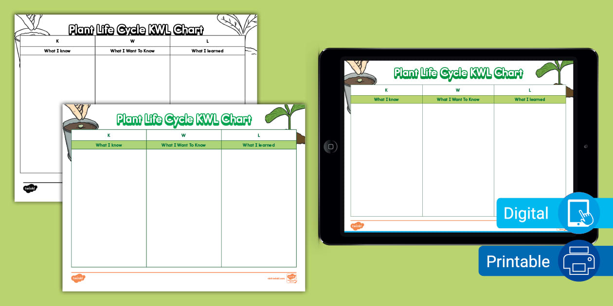 Plant Life Cycle KWL Chart (teacher made) - Twinkl