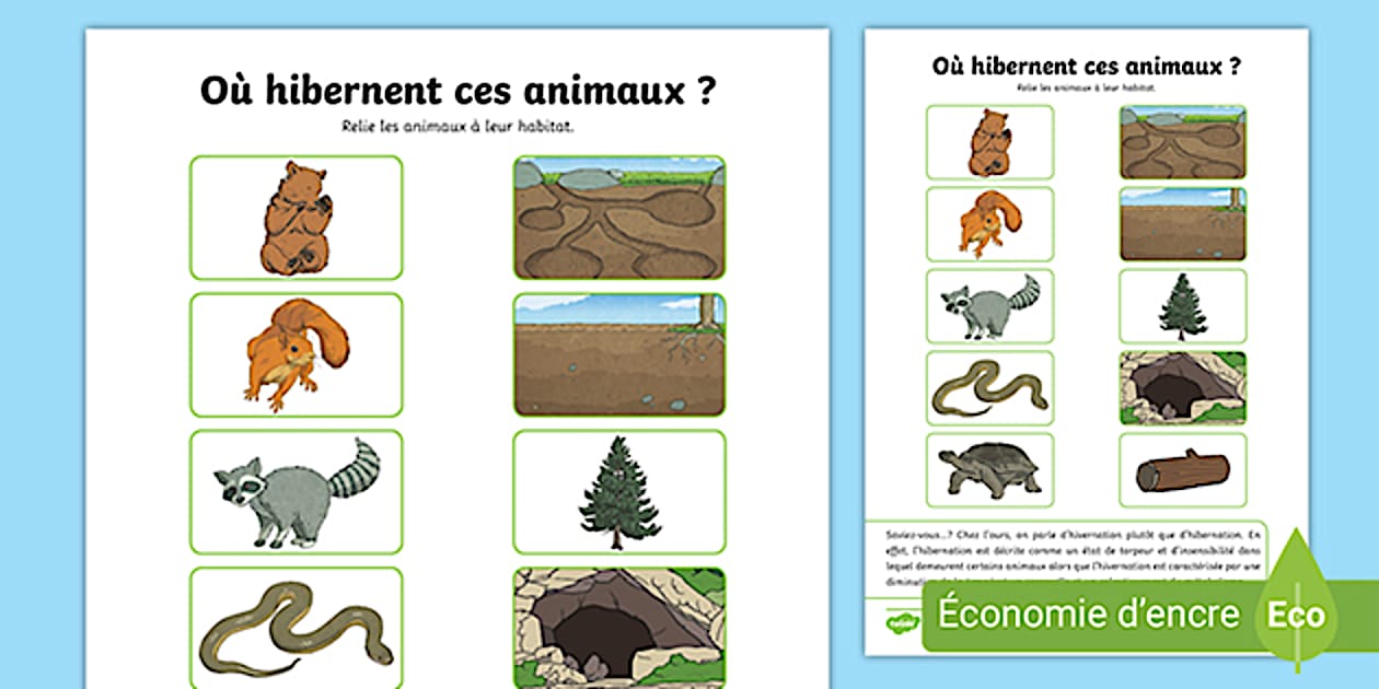 Fiche d'activités : Où hibernent les animaux