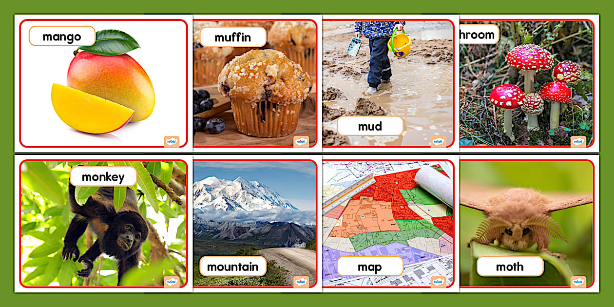 Things That Start With M Photos for PreK-K (teacher made)