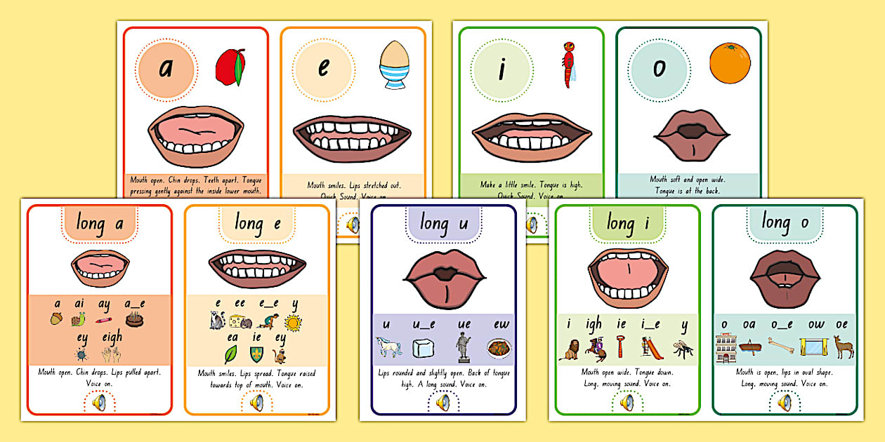 Vowel Sound Wall for Classrooms Display | Phonics | Twinkl