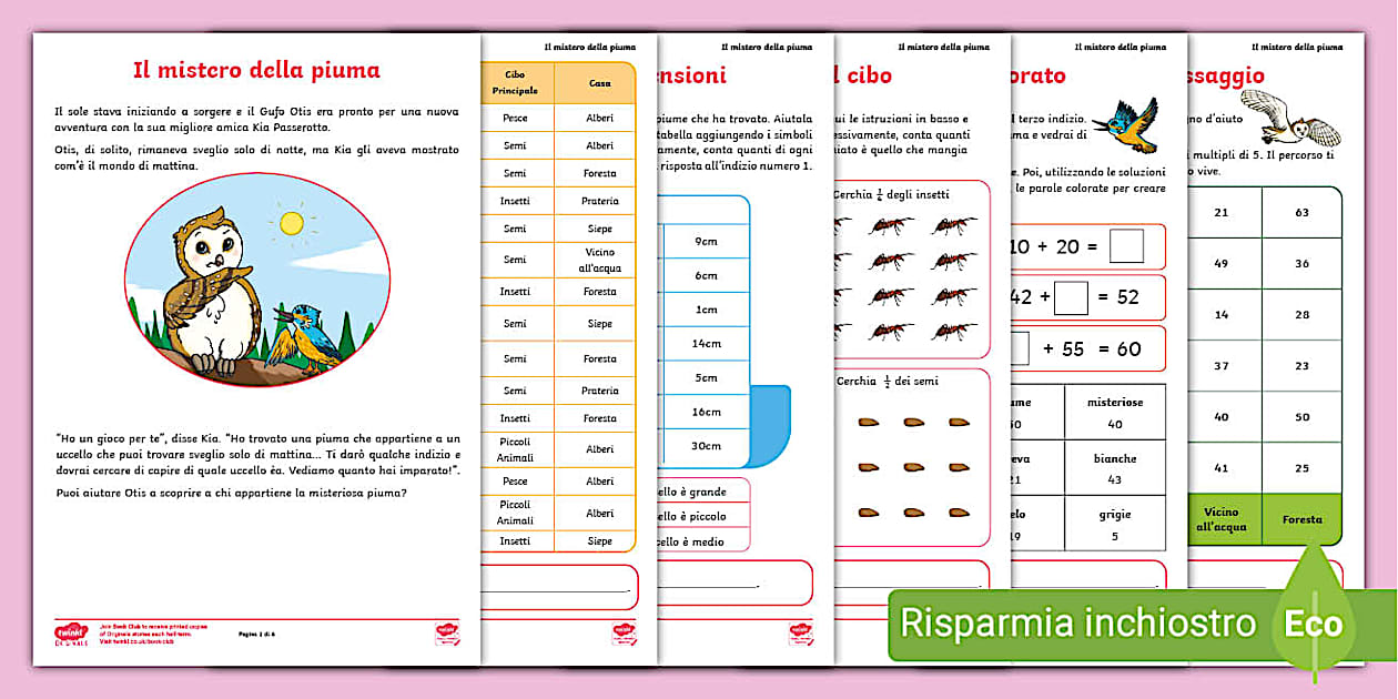 Il Mistero della Piuma - Gioco di Matematica per Bambini