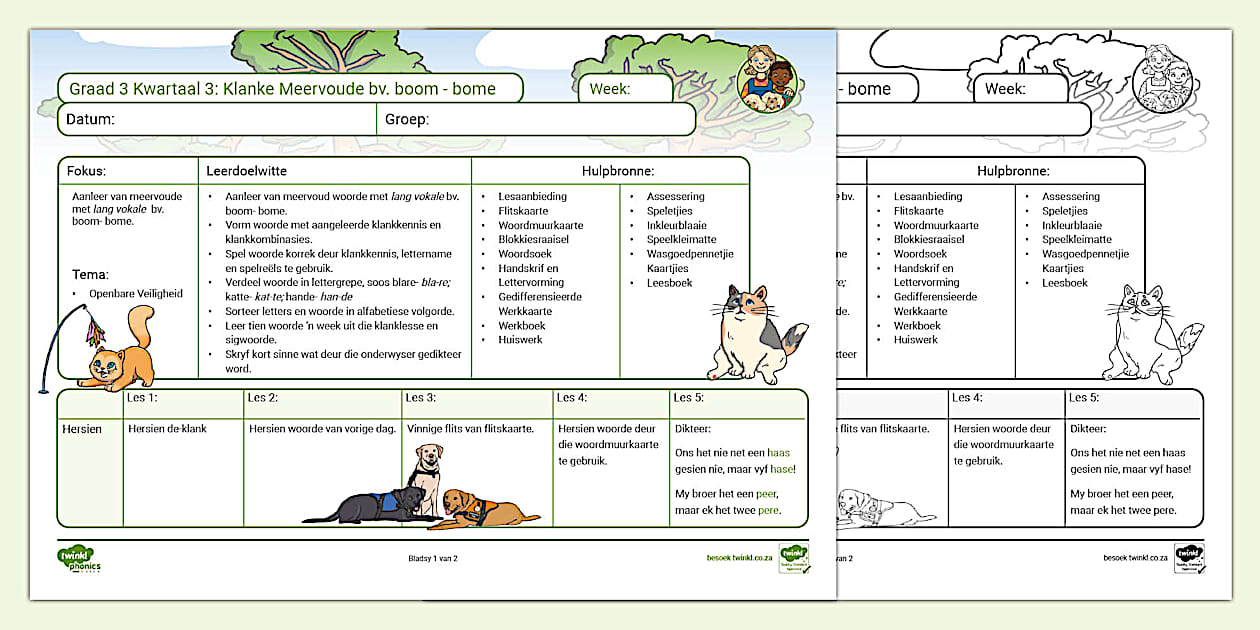 Graad 3 Klanke Lesplan Meervoude by. boom- bome - Twinkl
