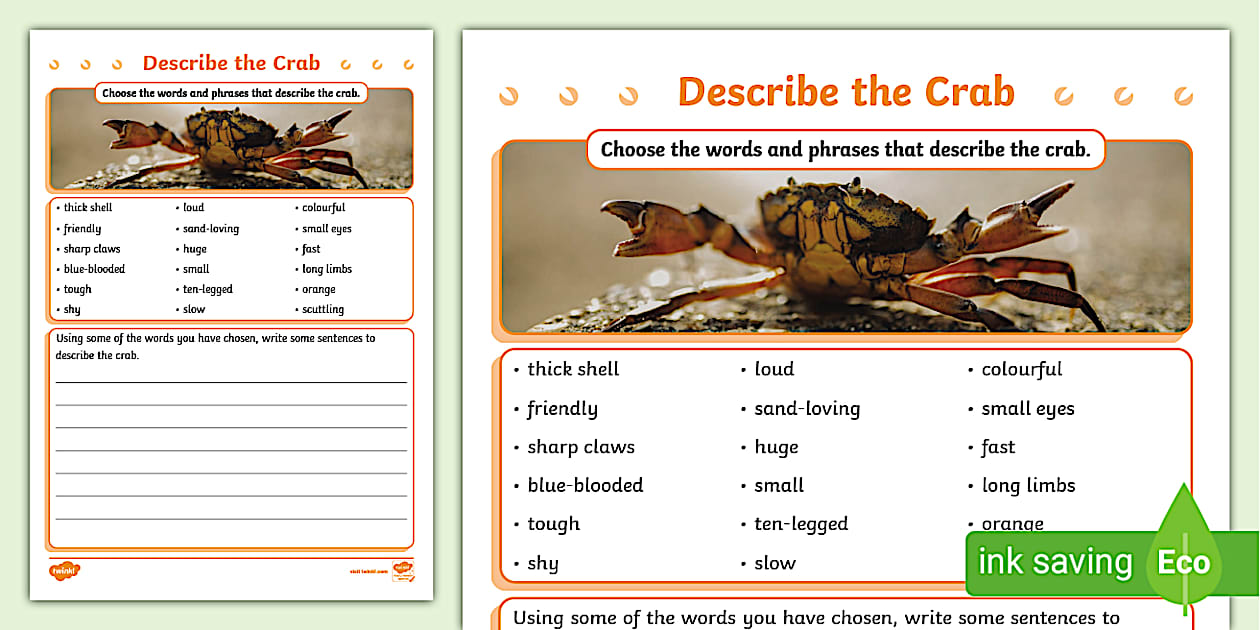 Describe the Crab Activity (Teacher-Made) - Twinkl