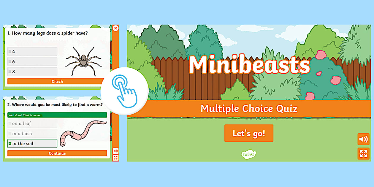 Minibeasts Multiple Choice Quiz (teacher made) - Twinkl