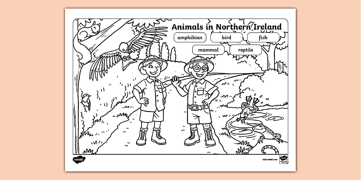 Animals in Northern Ireland Poster