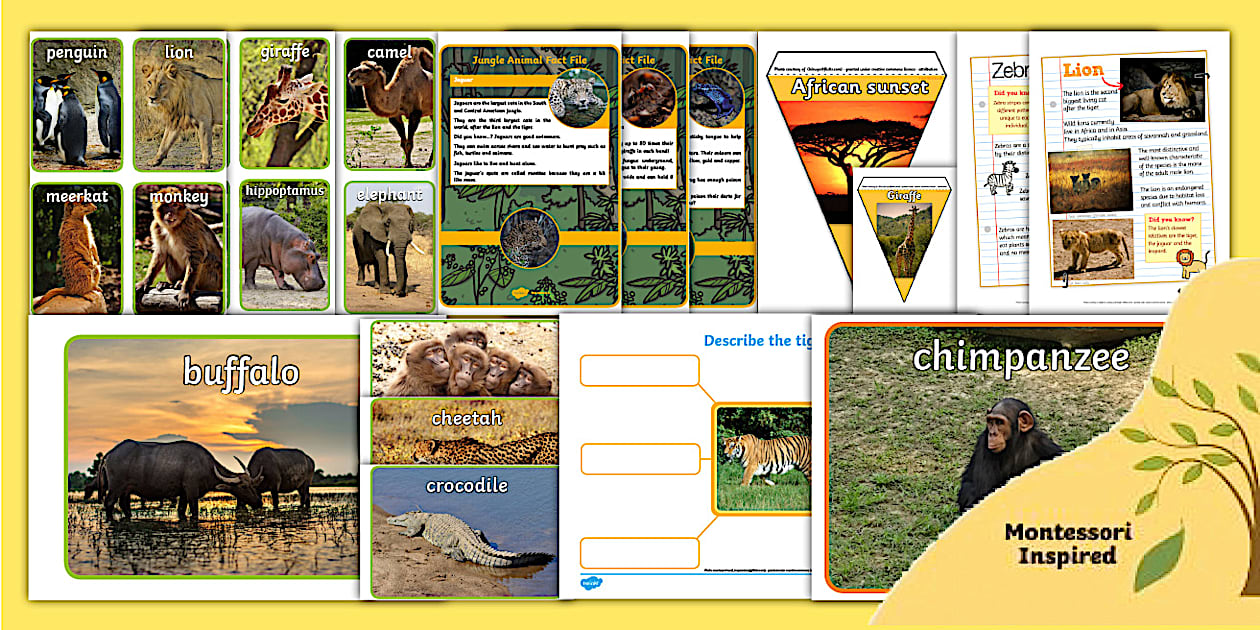 Montessori Wild Animals Resource Pack (teacher made)